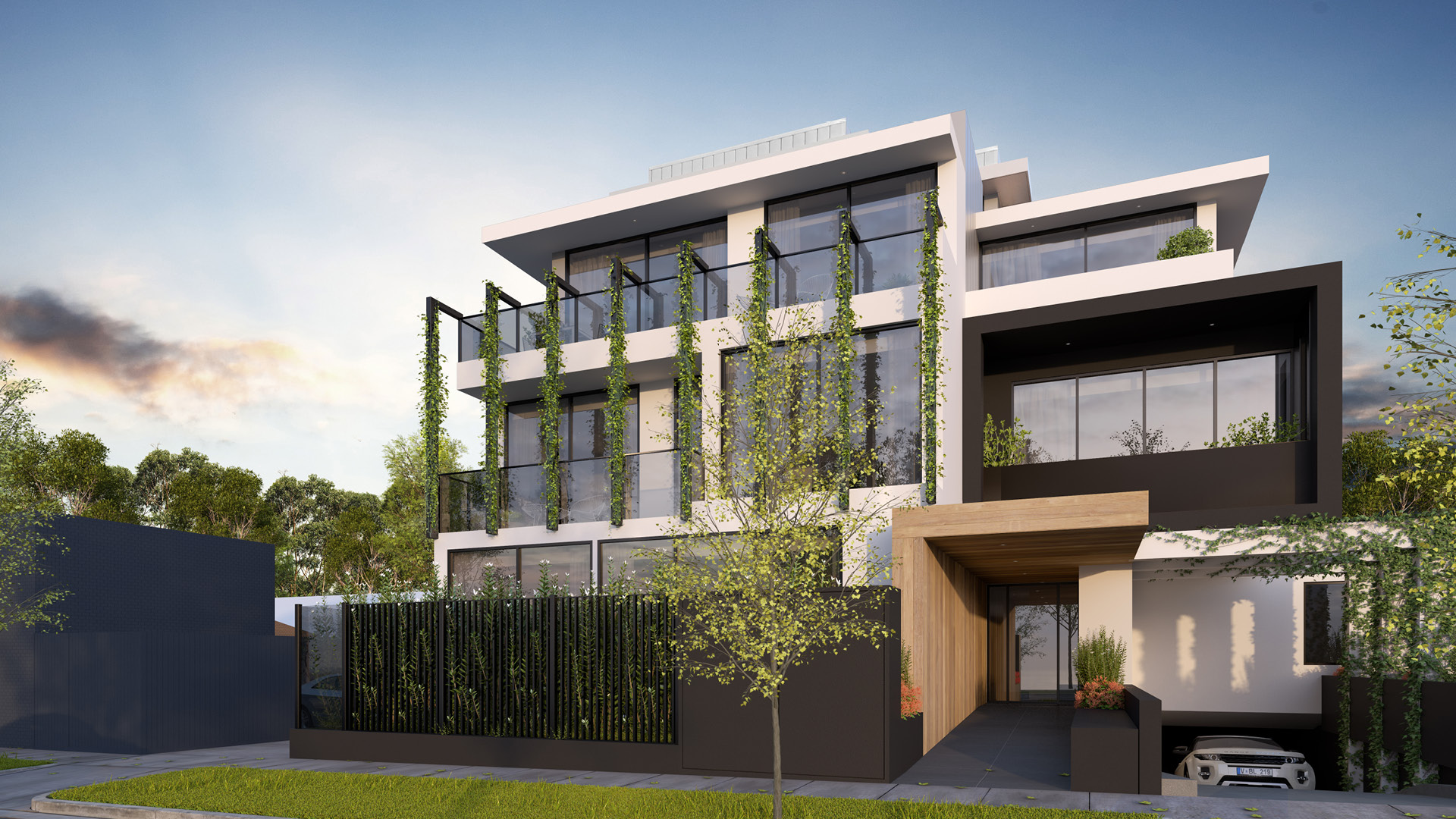 Amber | Castran Gilbert