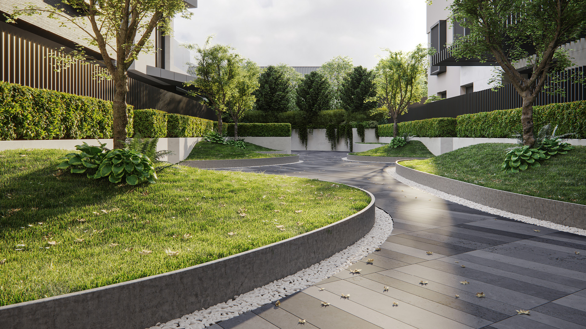 Olea | Castran Gilbert